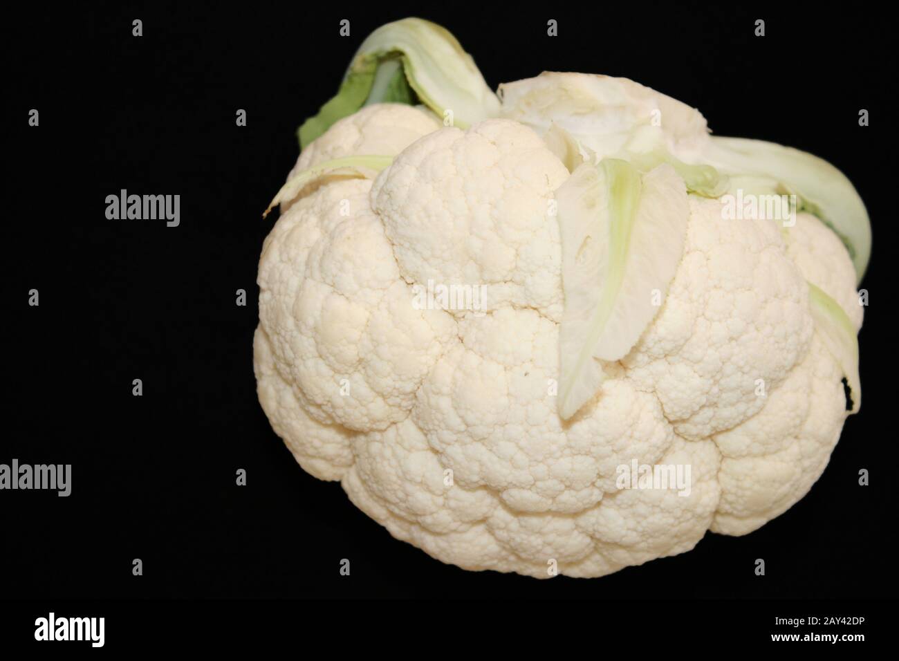 Oreja de coliflor fotografías e imágenes de alta resolución - Alamy