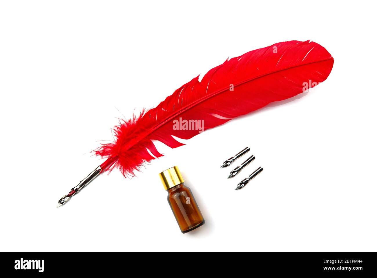 Pluma In Spanish Means at Brayden Hervey blog