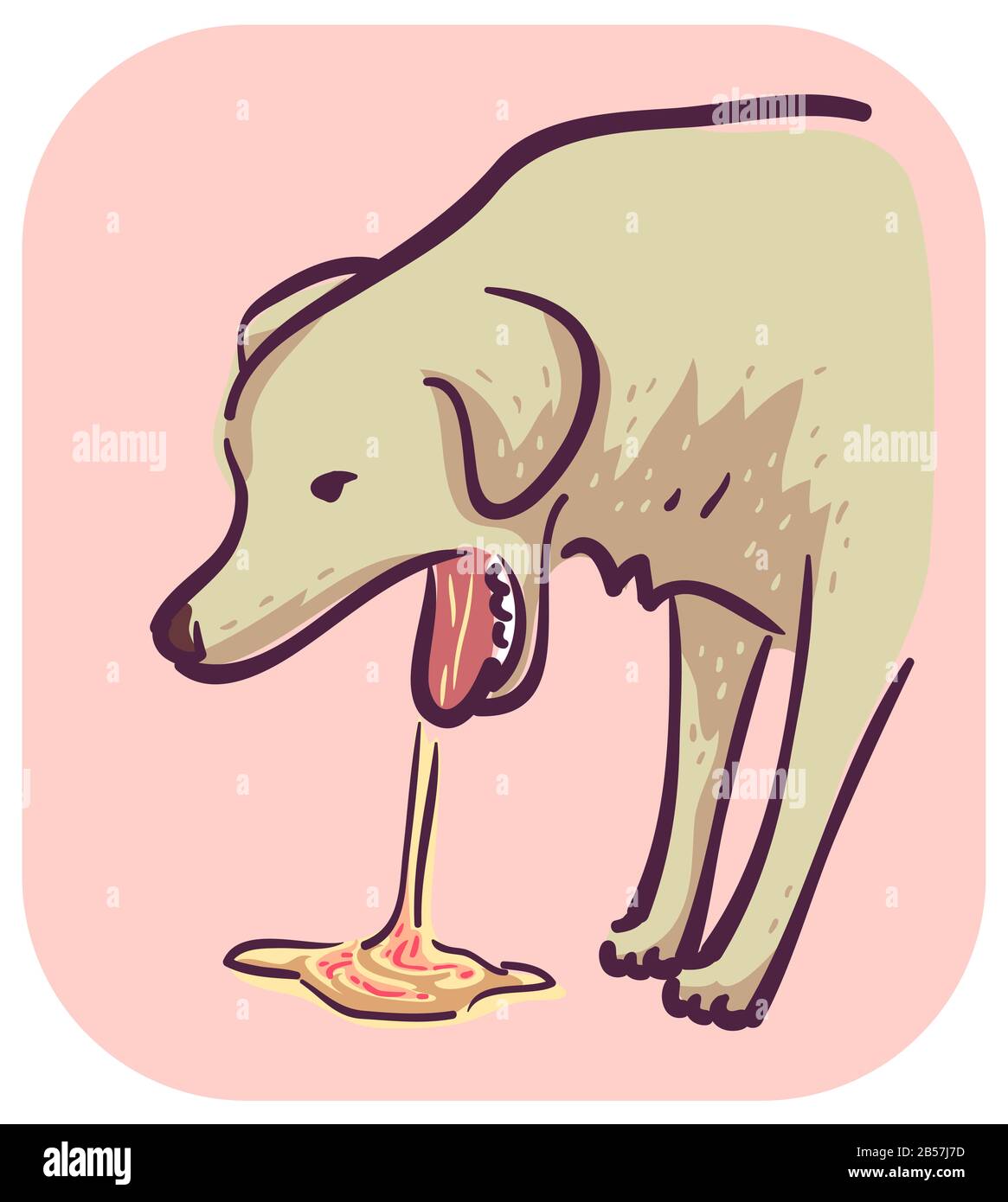 Los Perros Vomitan Sangre Con Parvo