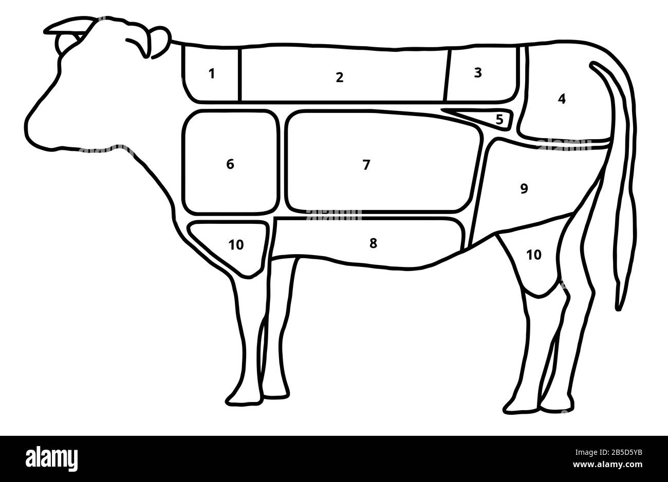 Cortes Y Partes Del Toro