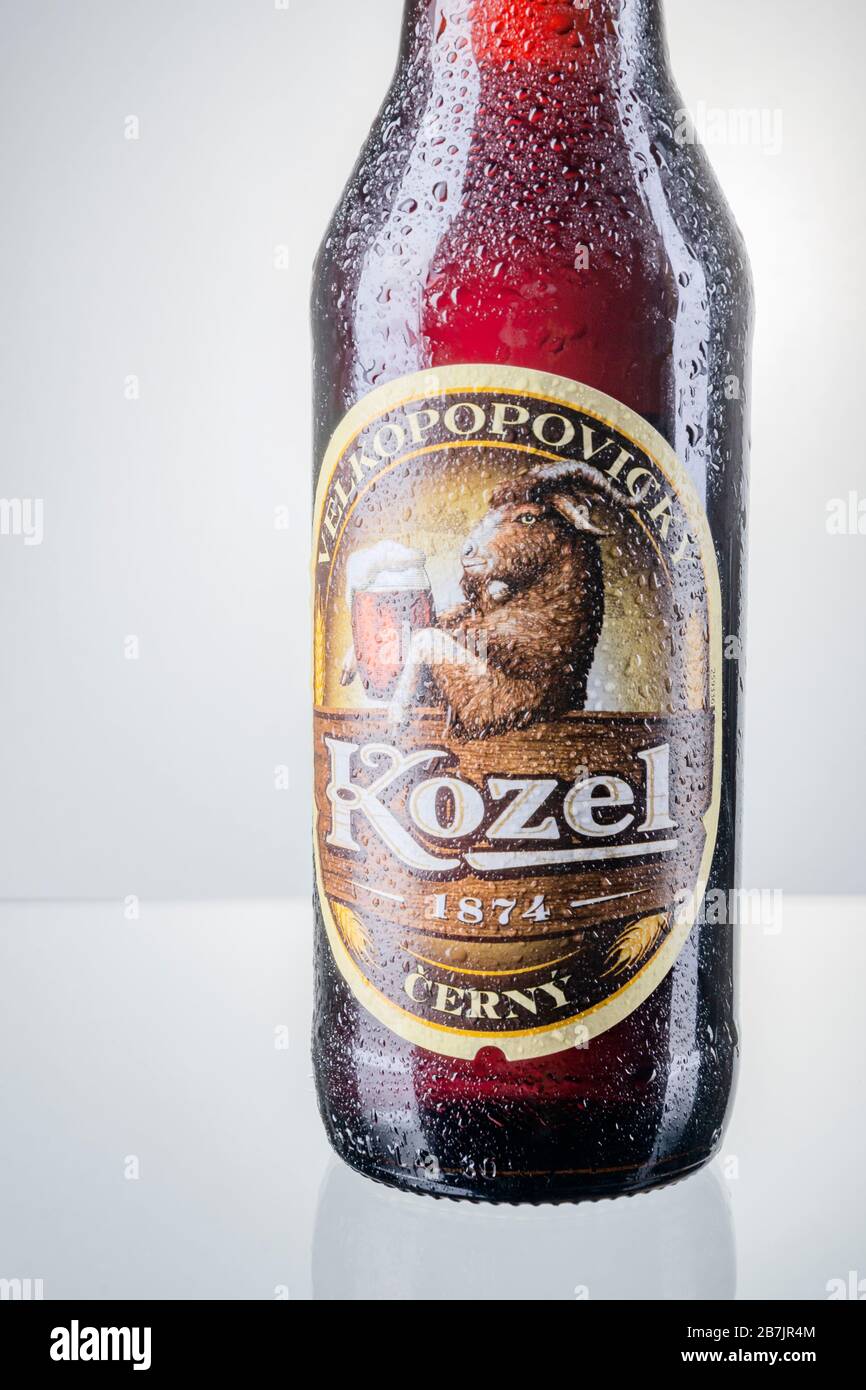 Cerveza Velkopovicky Kozel aislada sobre fondo blanco. La cerveza Kozel ... Cerveza Velkopovicky Kozel aislada sobre fondo blanco. La cerveza Kozel ...