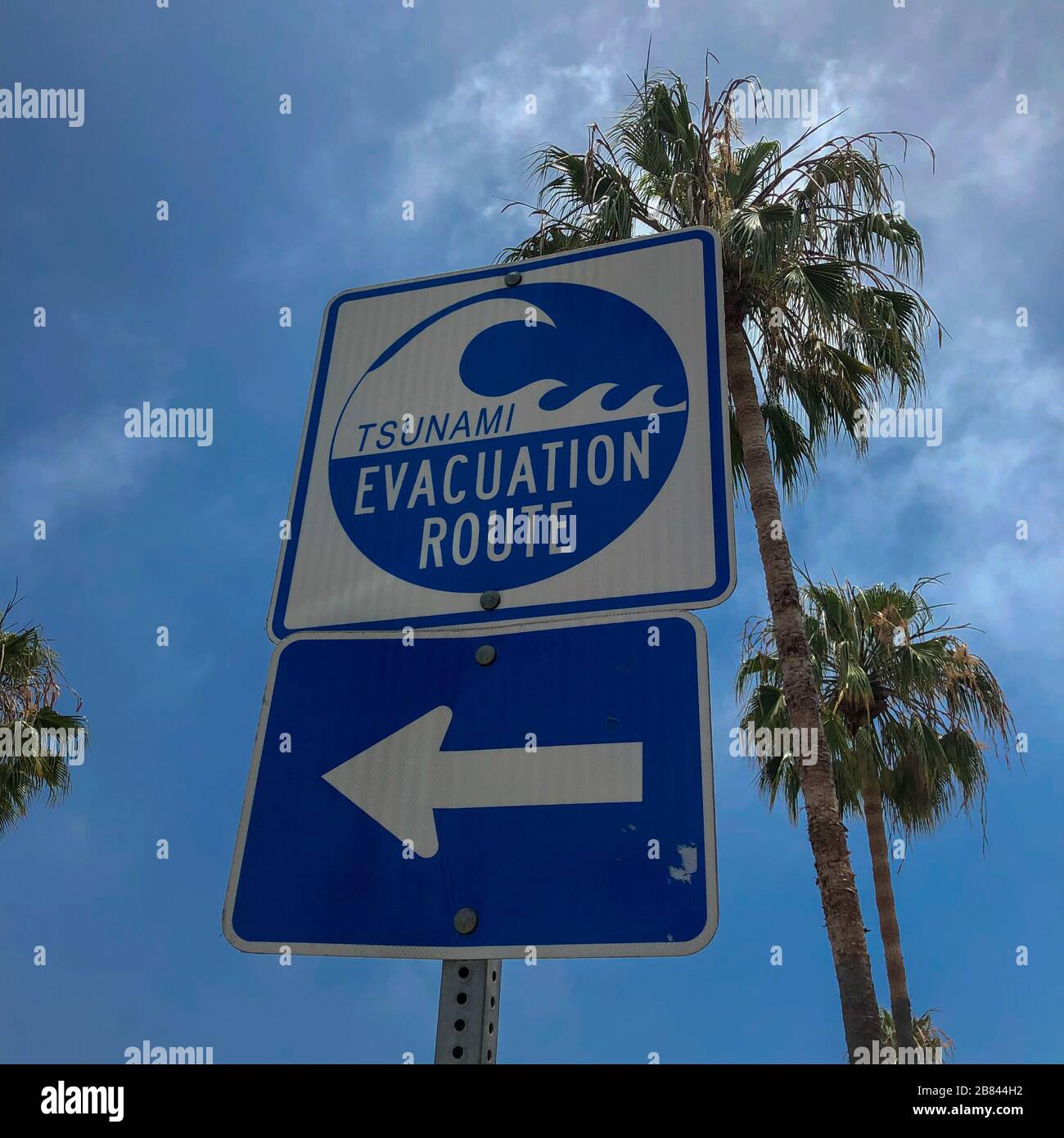 Señal De La Ruta De Evacuación Del Tsunami En Venice Beach California Estados Unidos Ruta De