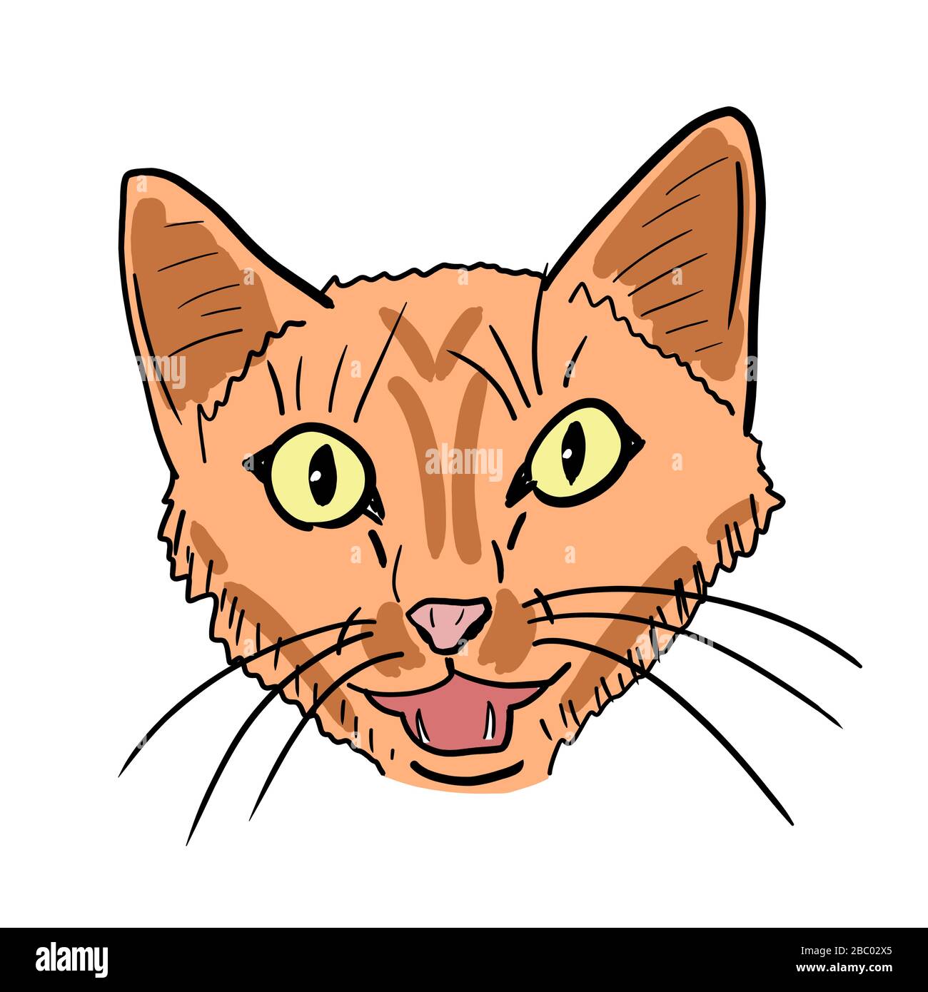 Gato Meme Memes Imágenes Recortadas De Stock Alamy
