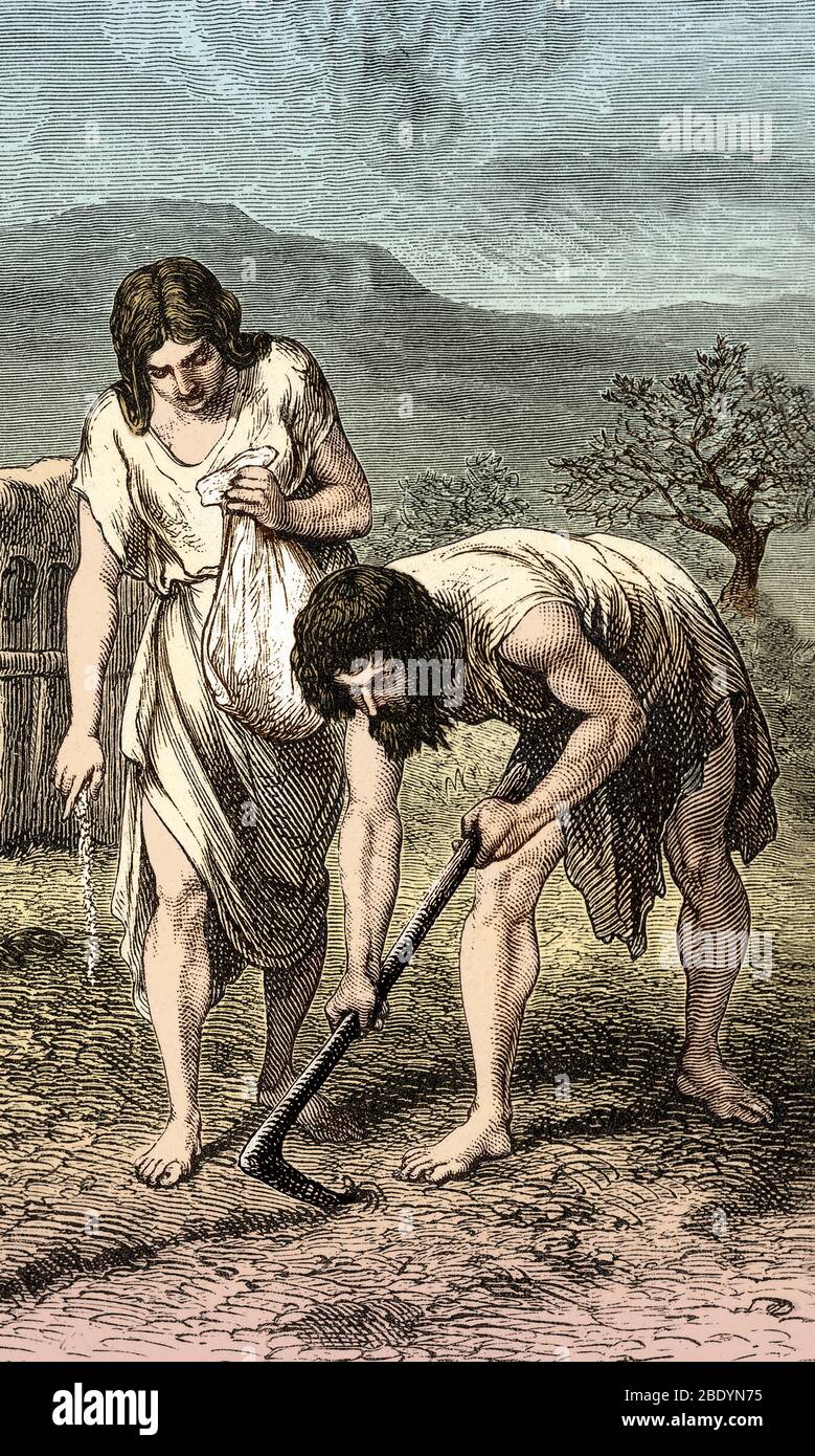 Agriculture Stone Age at Patricia Madden blog