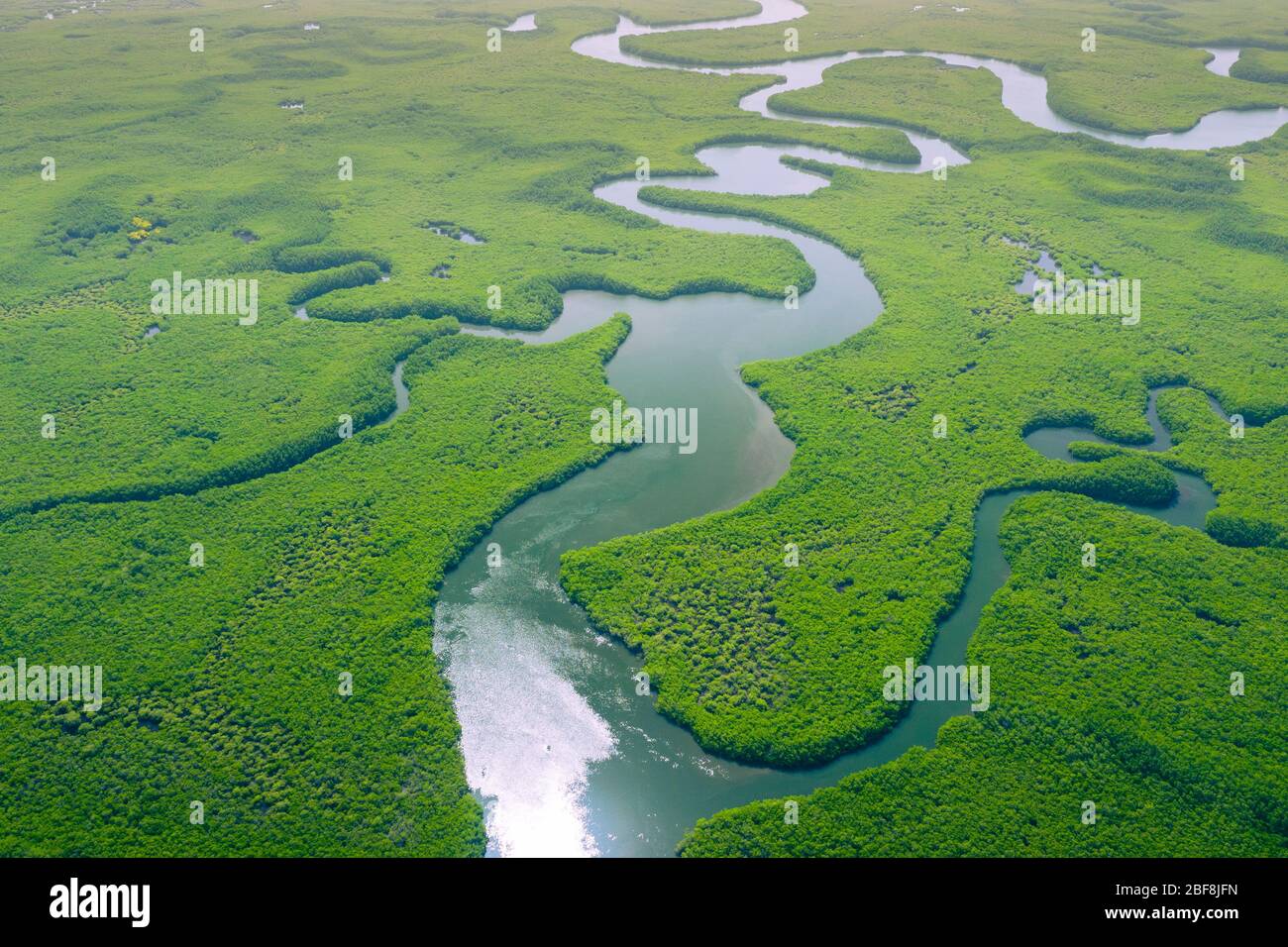 Vista aérea de la selva amazónica en Brasil, Sudamérica. Bosque verde ...