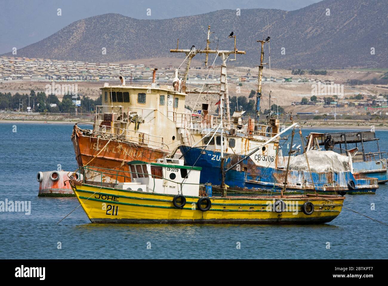 Los Barcos De Pesca En El Puerto De Coquimbo Región Norte Chico Chile