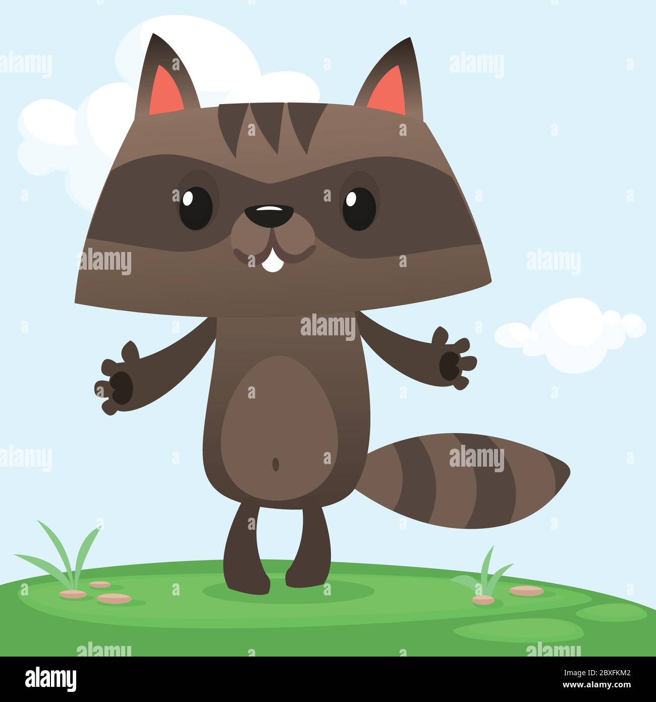 Personaje De Dibujos Animados Mapaches De Pie Sobre Fondo De Prado Con
