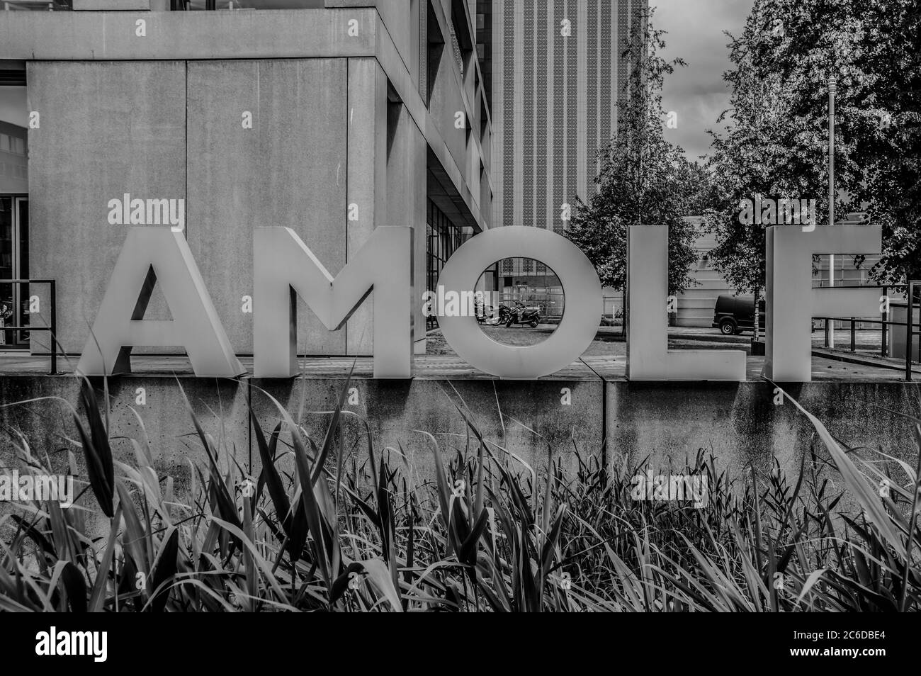 Letras Holandesas