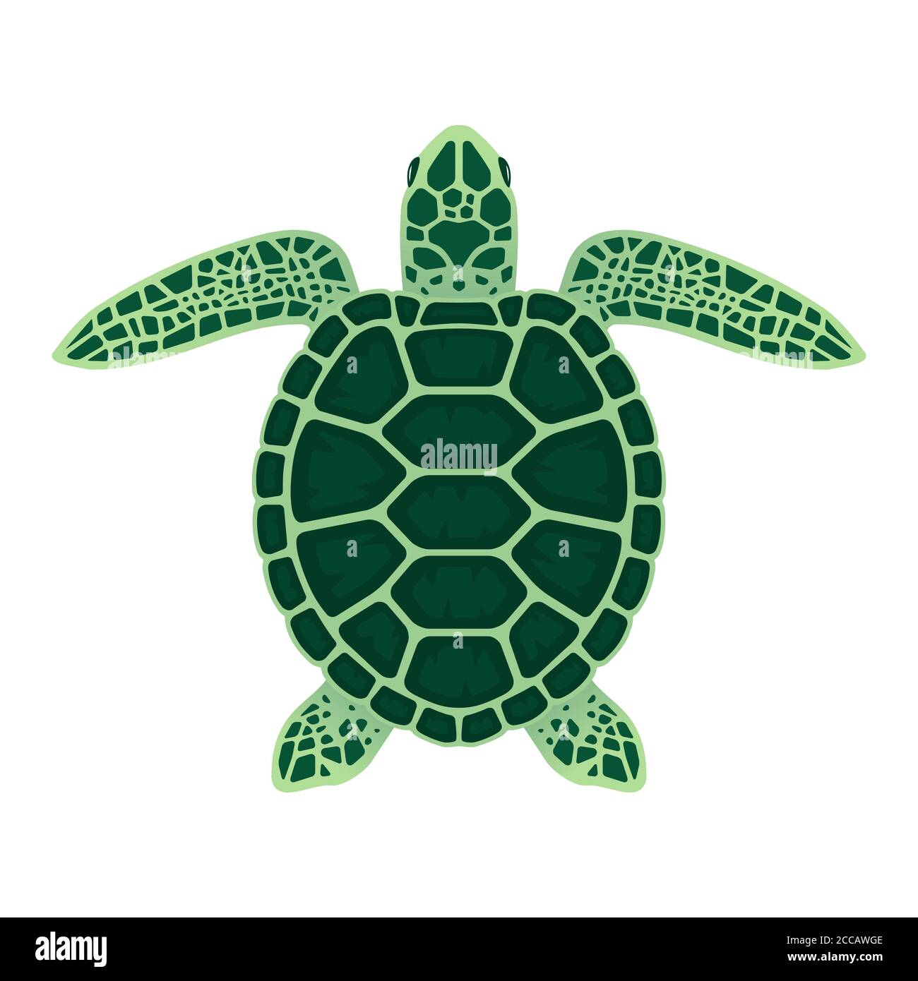 Dibujos De Tortugas Marinas Hawaianas