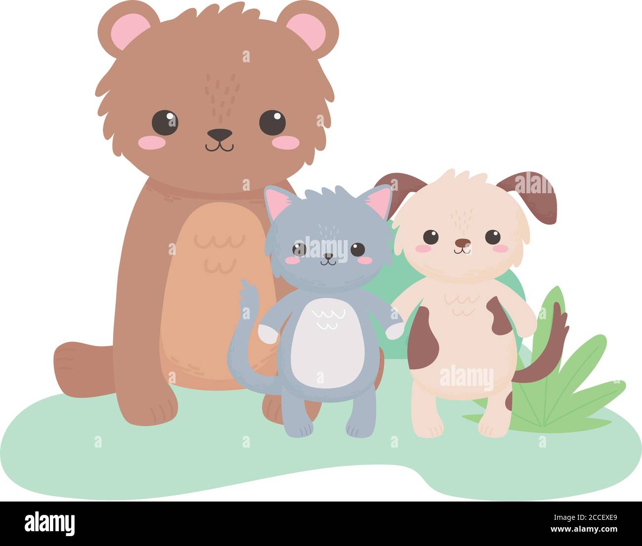 Son Osos Gatos O Perros