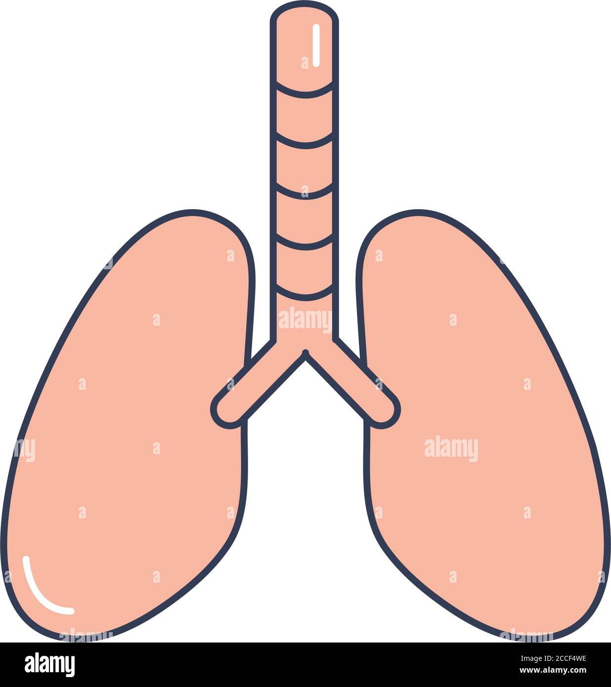 Concepto De Cuerpo Humano órgano De Los Pulmones Icono Sobre Fondo