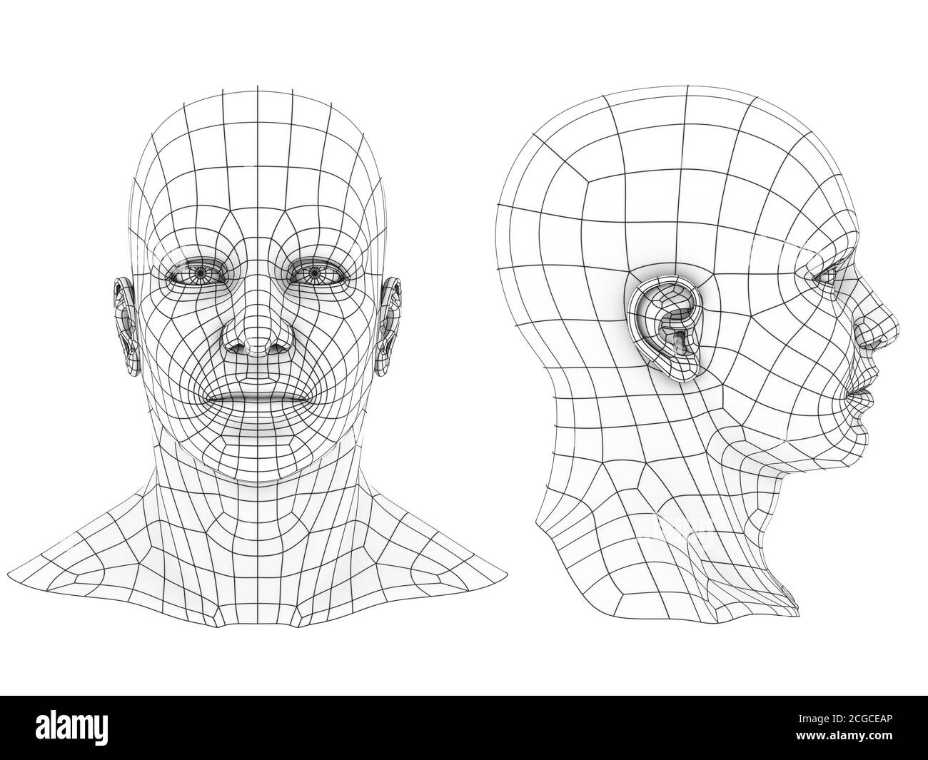 Vista Frontal Y Lateral Para Modelado 3d
