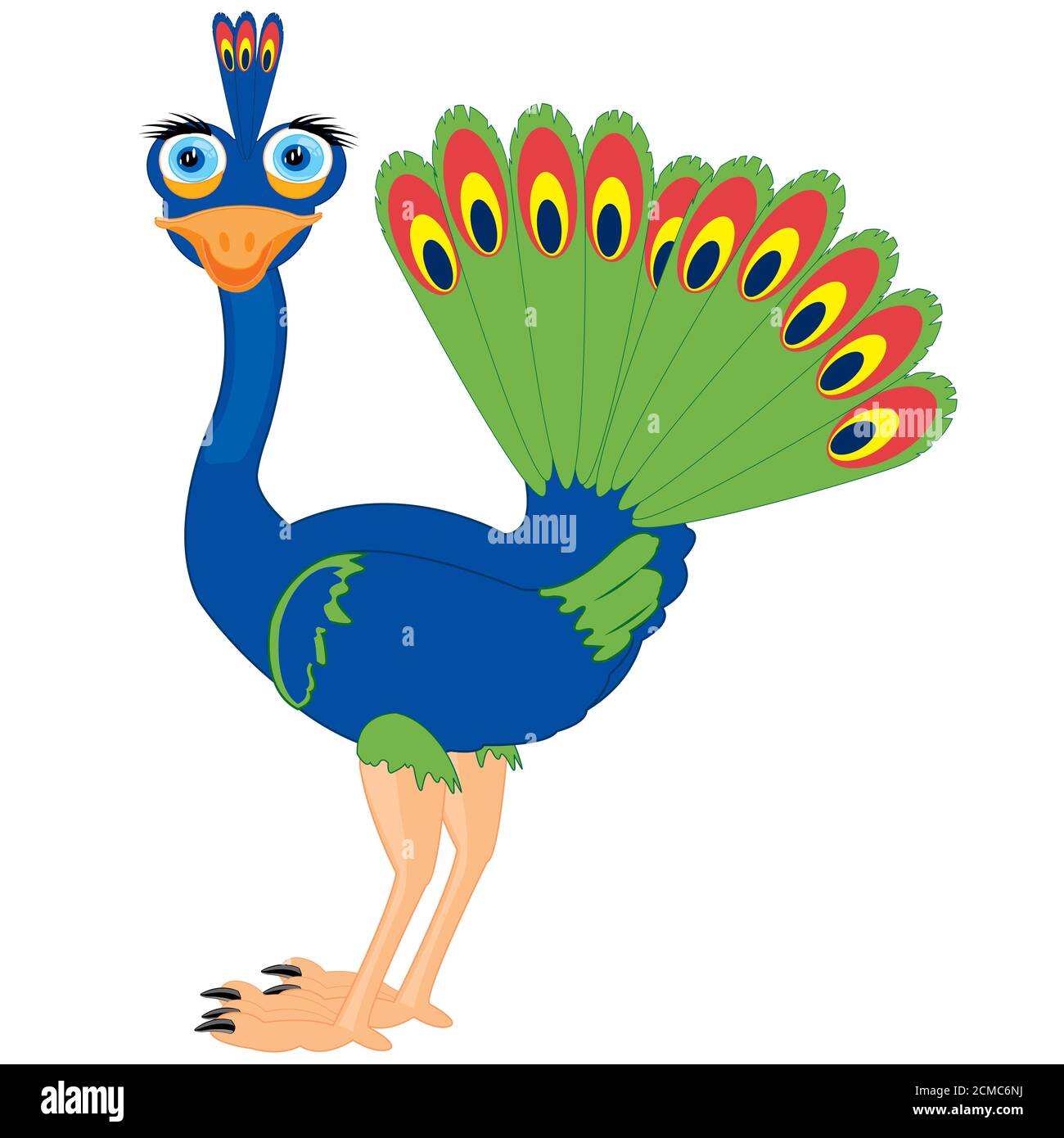 Pavo Caricatura