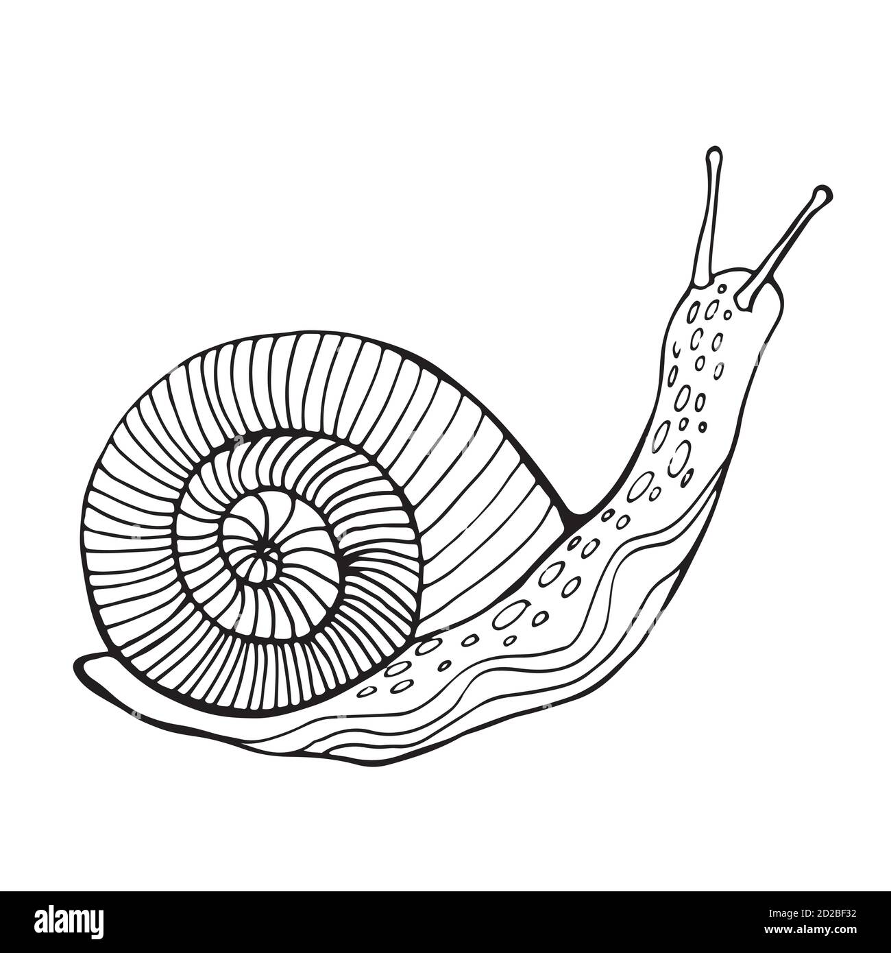 Página para colorear caracol para niños y adultos Imagen Vector de ... Página para colorear caracol para niños y adultos Imagen Vector de ...