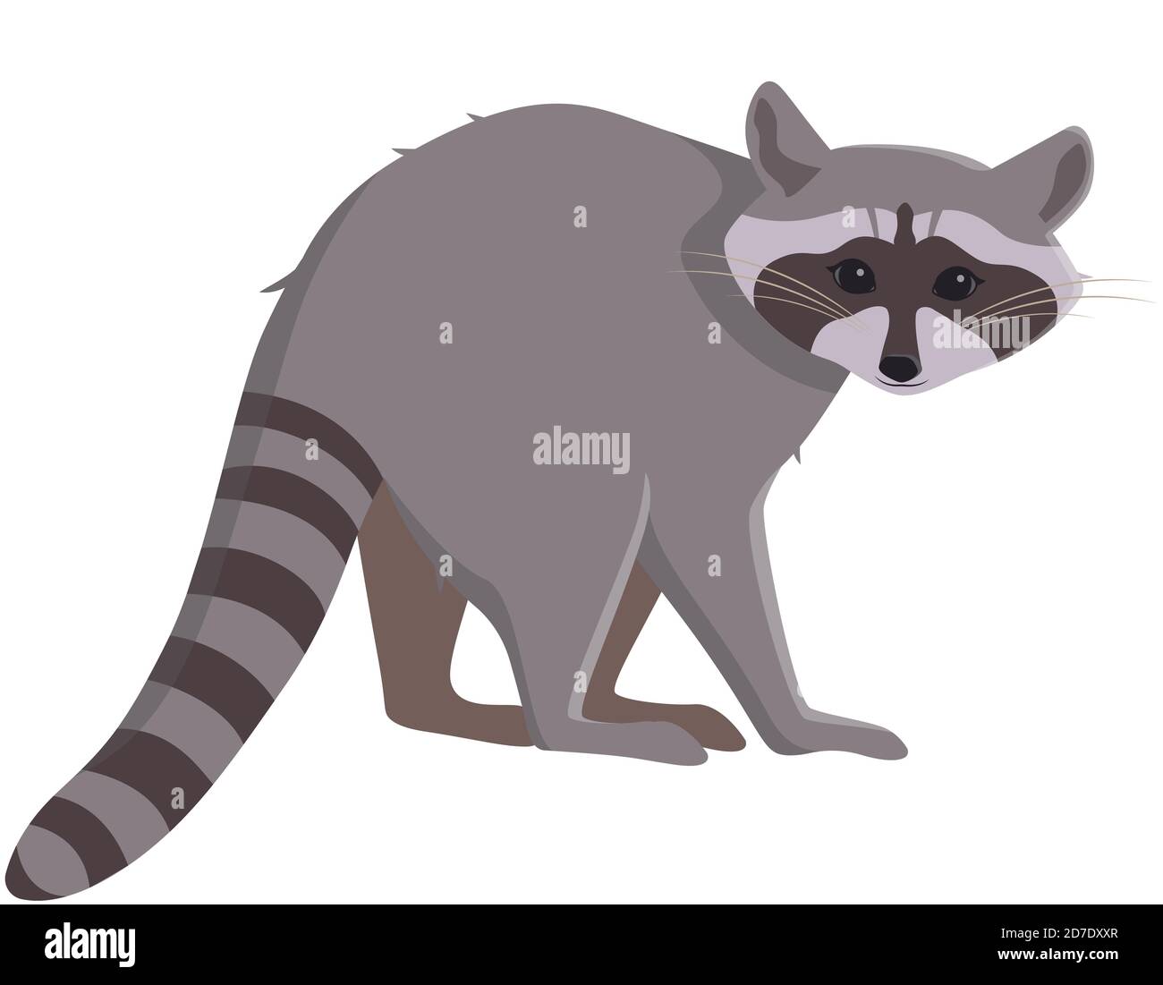 Como Dibujar Un Mapache