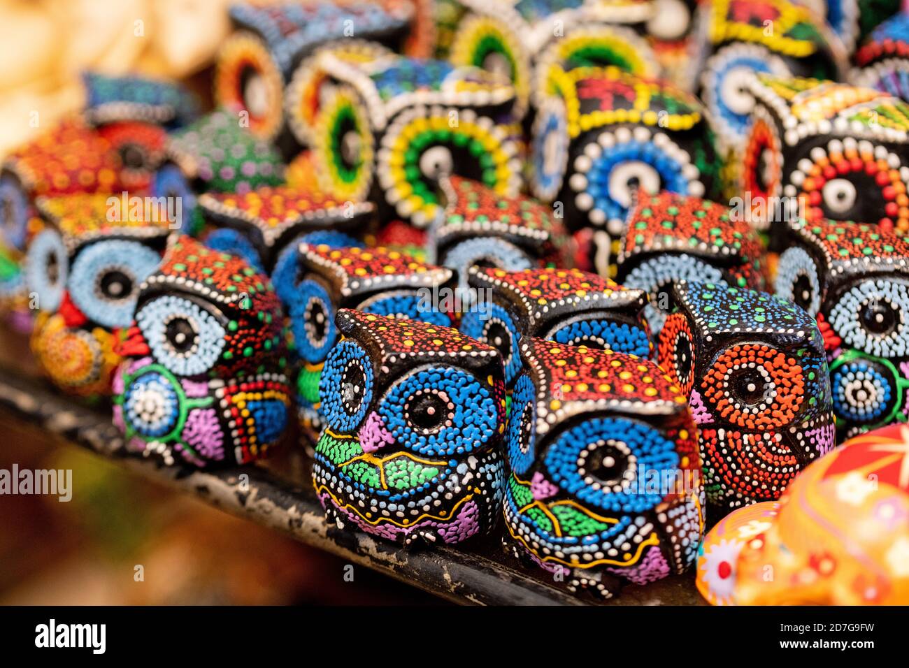 Lindo Búho Colorido