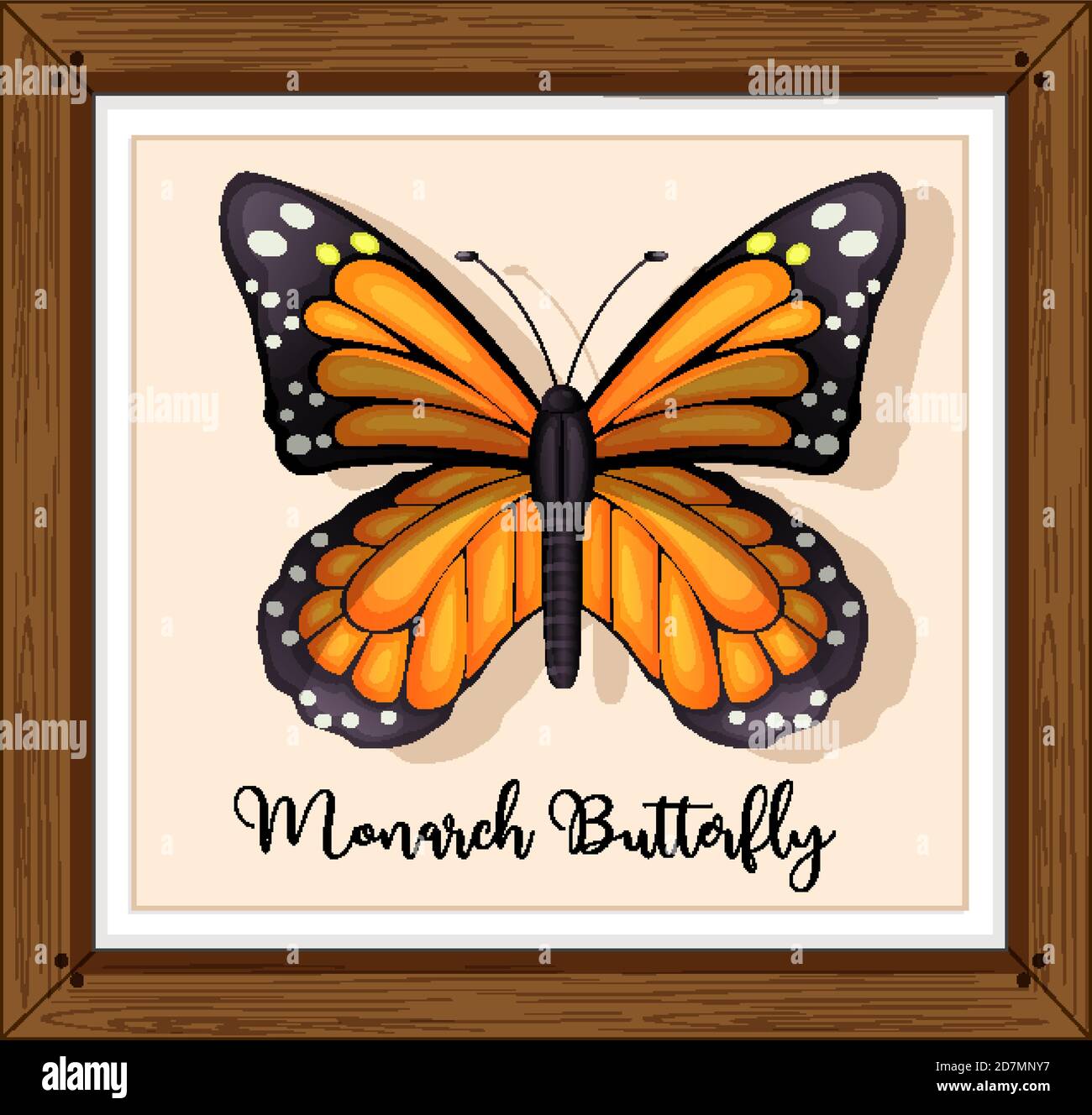 Bordes De Mariposa Para Microsoft Word