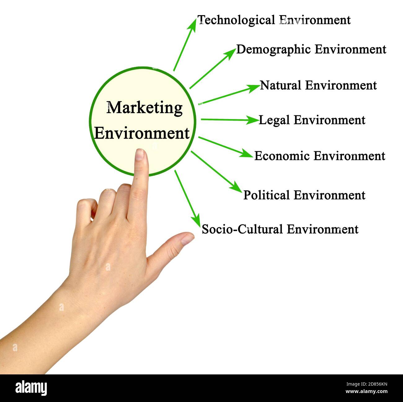 Siete Componentes Del Entorno De Marketing Fotograf a De Stock Alamy siete-componentes-del-entorno-de-marketing-fotograf-a-de-stock-alamy