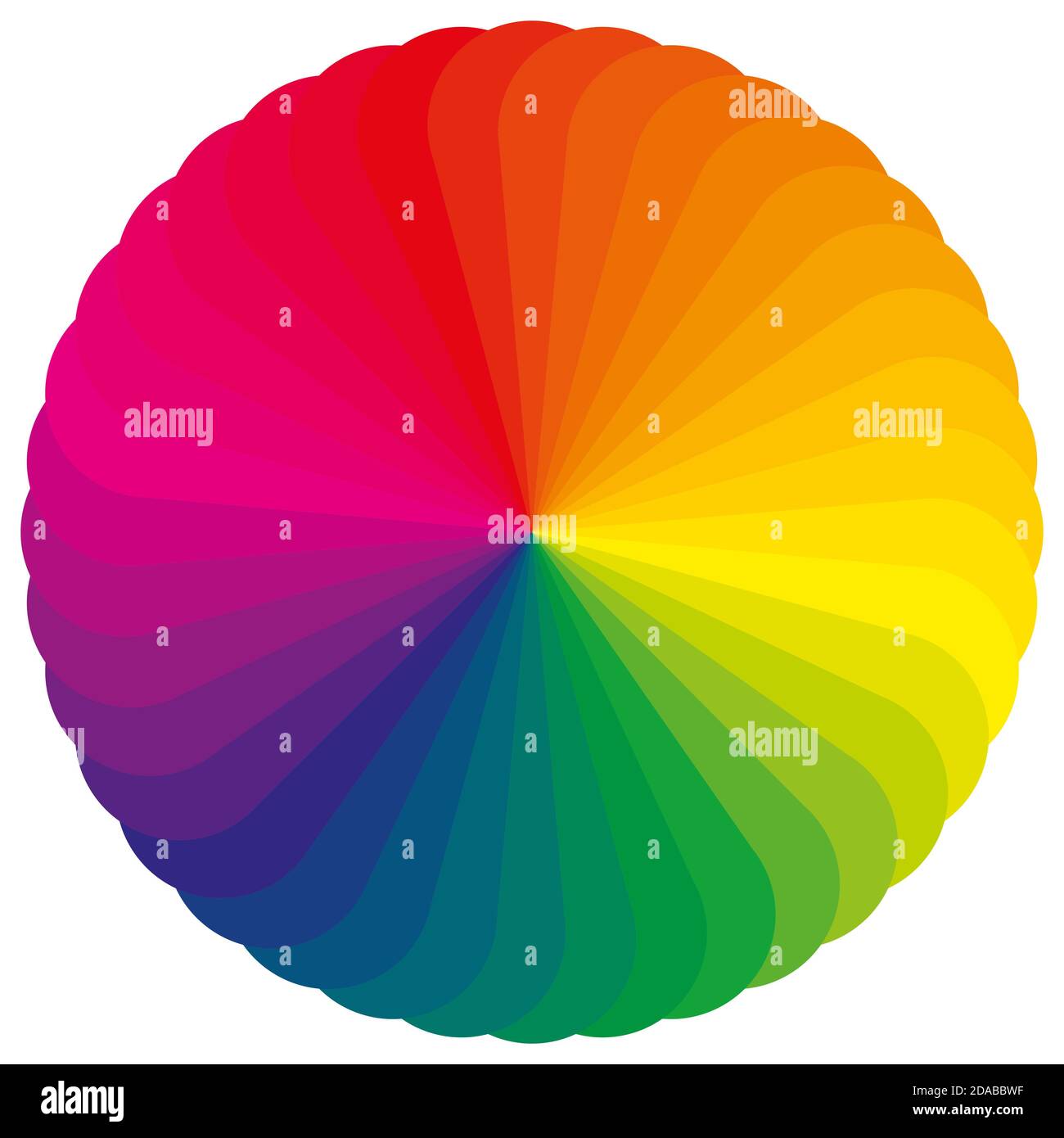Gráfico De La Rueda De Colores