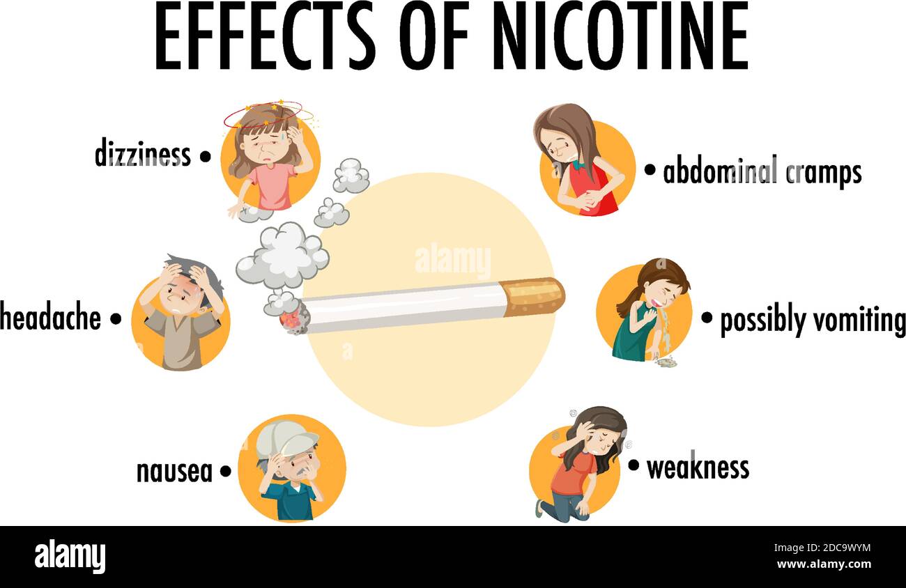 Efectos De La Información Sobre La Nicotina Ilustración Infográfica