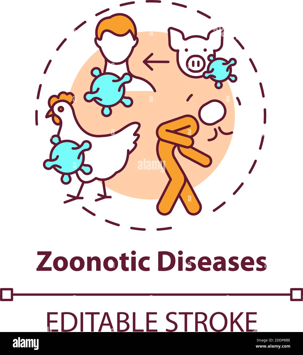 Enfermedades zoonóticas Imágenes vectoriales de stock - Alamy