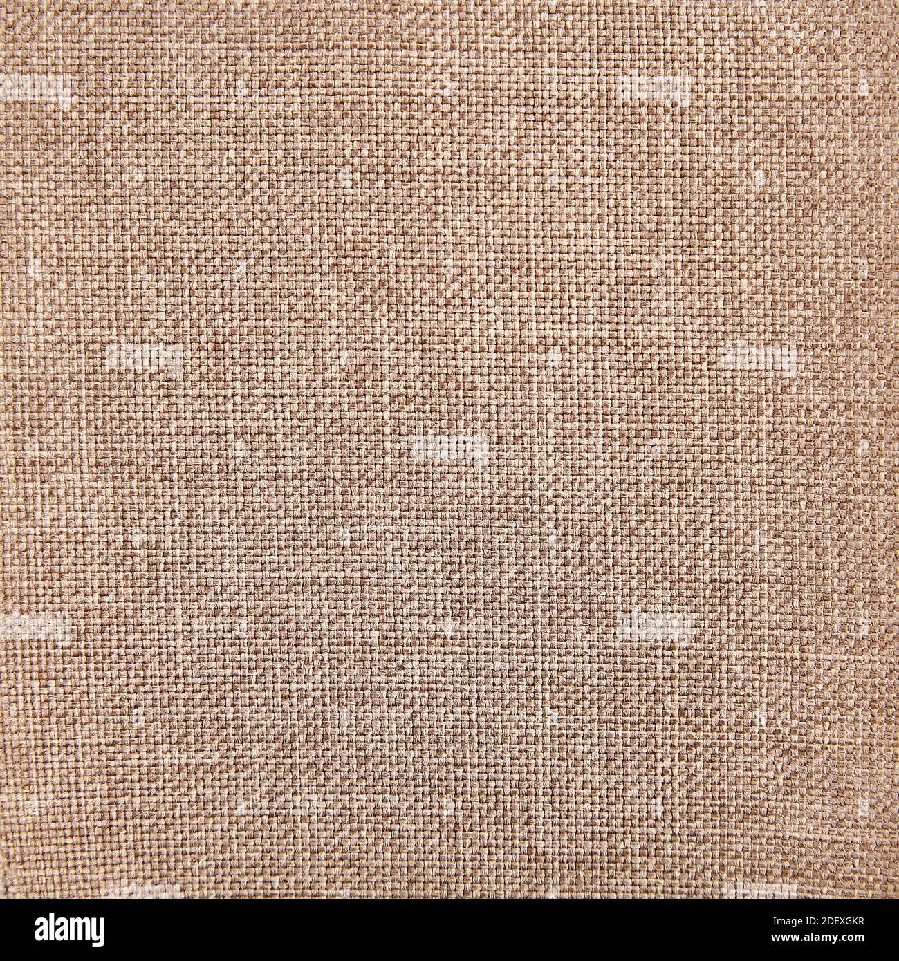 Color Marron Claro