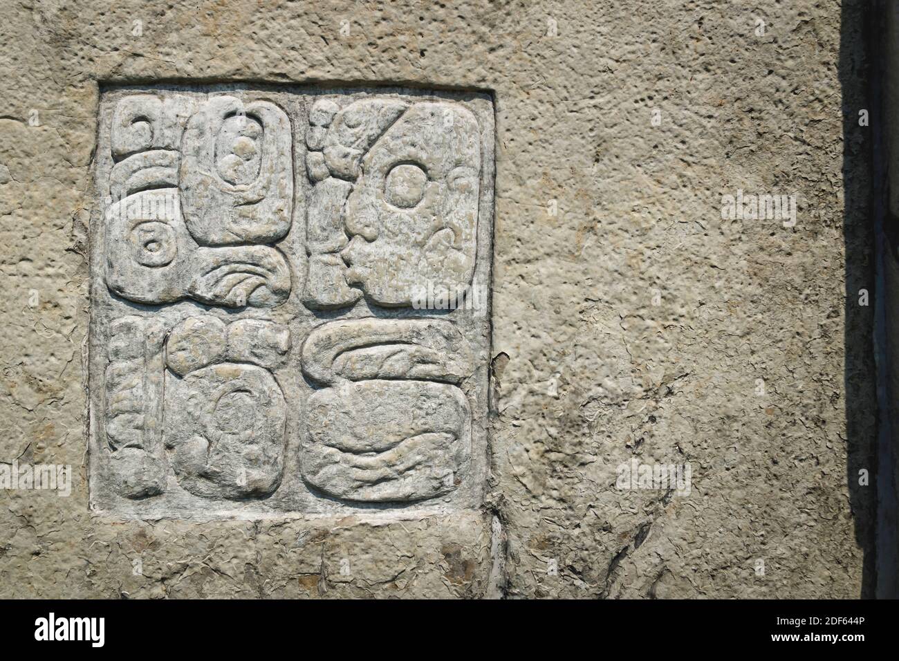 Escultura En Relieve De Los Signos Mayas En La Pared Del Palacio En El