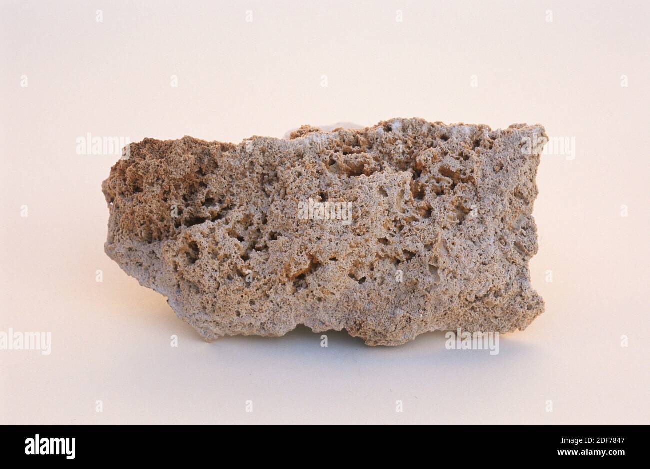 Travertino De Piedra Caliza