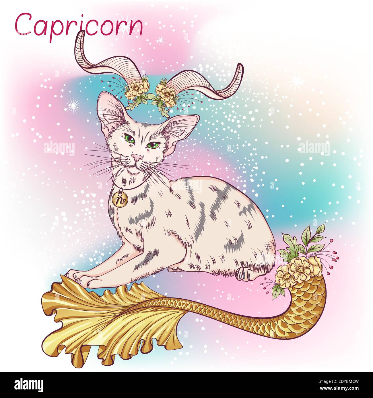 Zodiaco Ilustración Vectorial Del Signo Astrológico De Capricornio