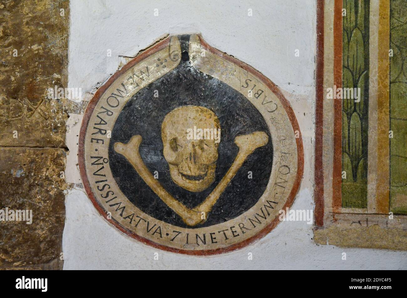un-fresco-de-pared-que-representa-un-memento-mori-lat-n-para-miembro