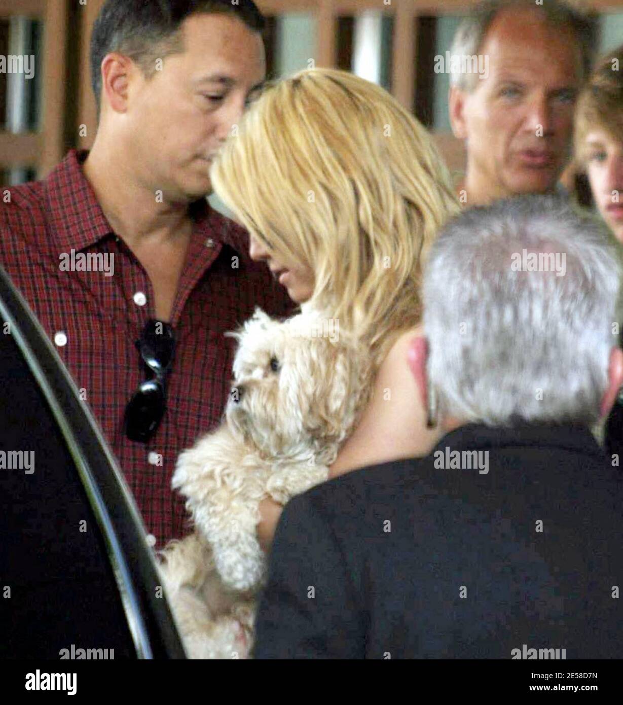 Que Le Paso A Jessica Simpson Perro Daisy