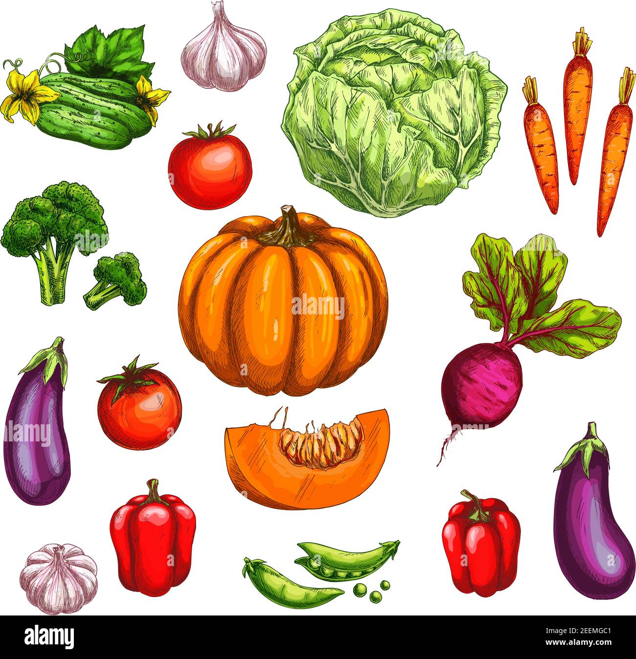 Bocetos de verduras y verduras de granja. Zanahoria y tomate, pimienta ... Bocetos de verduras y verduras de granja. Zanahoria y tomate, pimienta ...