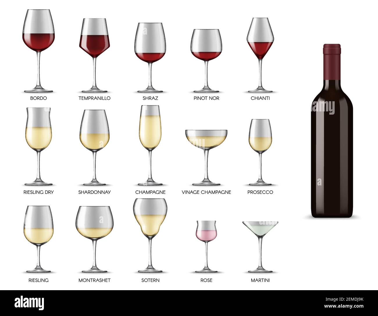 Tipos De Copas De Vino Vino Blanco Y Rojo Alcohol Copas Vector