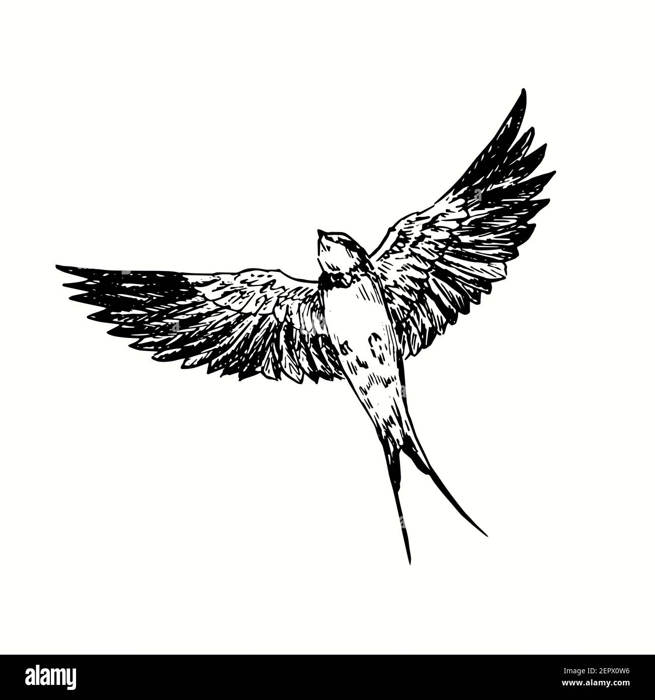 Pajaros Volando Dibujo