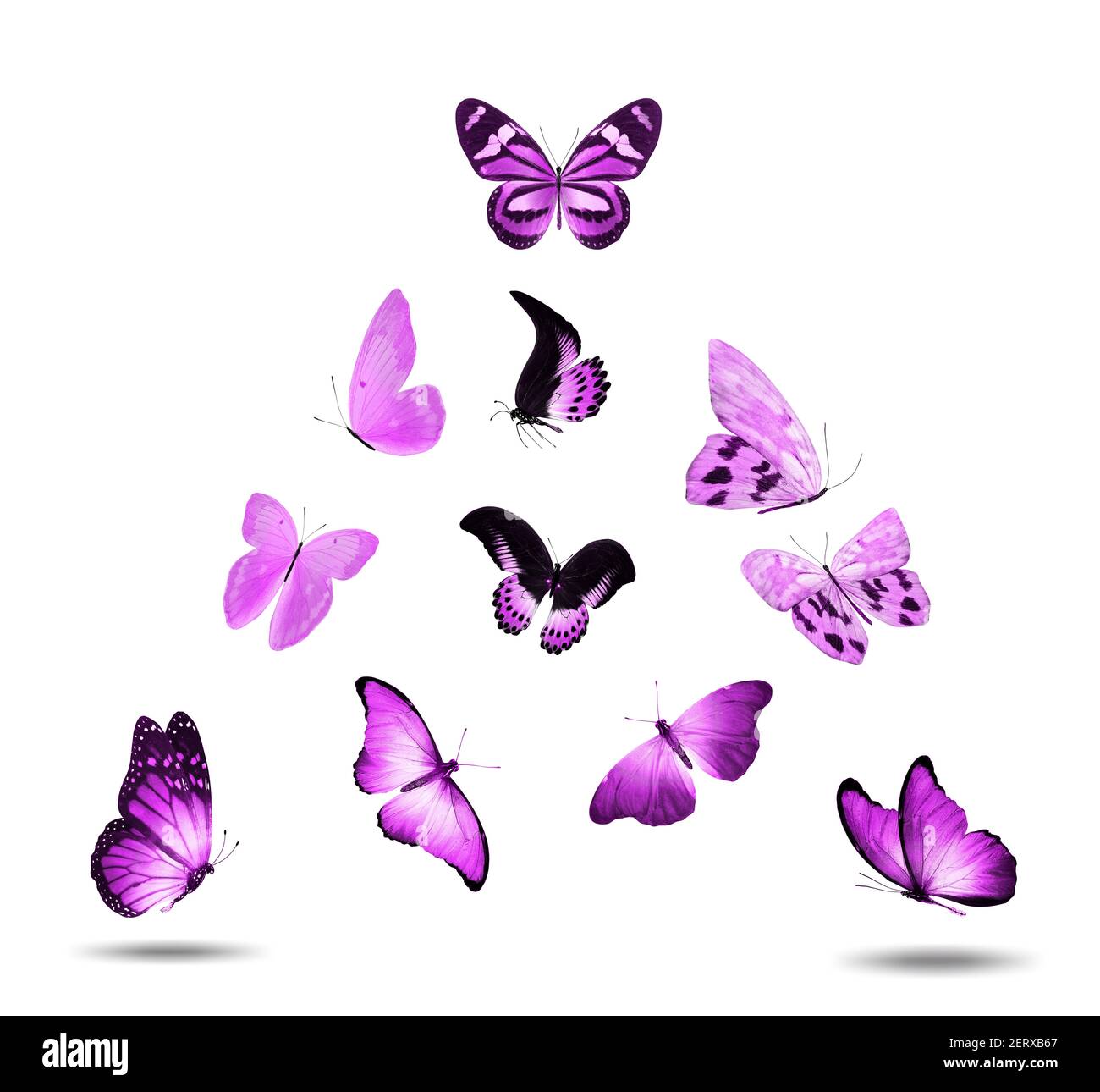 Mariposas Rosadas