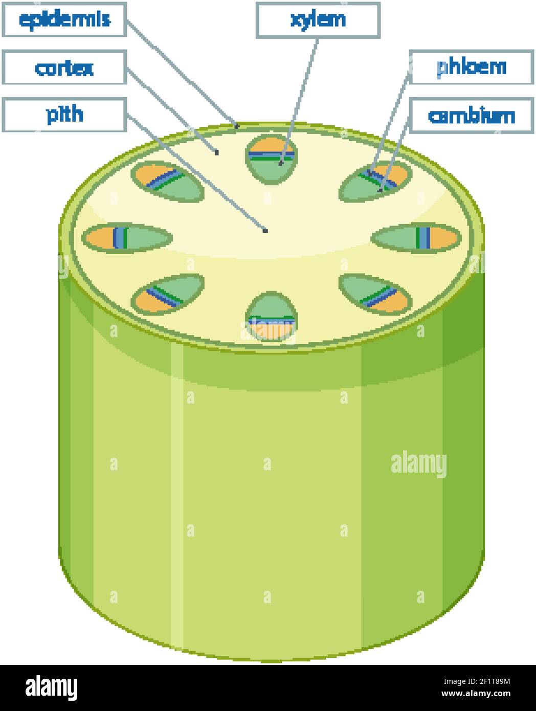 U.E.P.I. Biología Características de los cinco Reinos