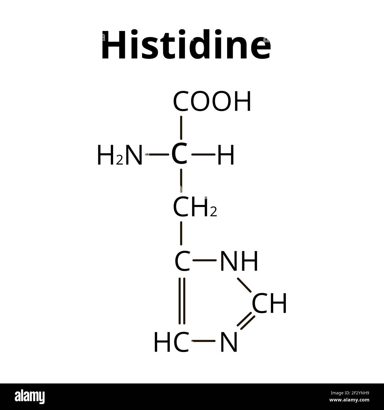 Estructura De Histidina Lewis Estructura De Histidina Lewis