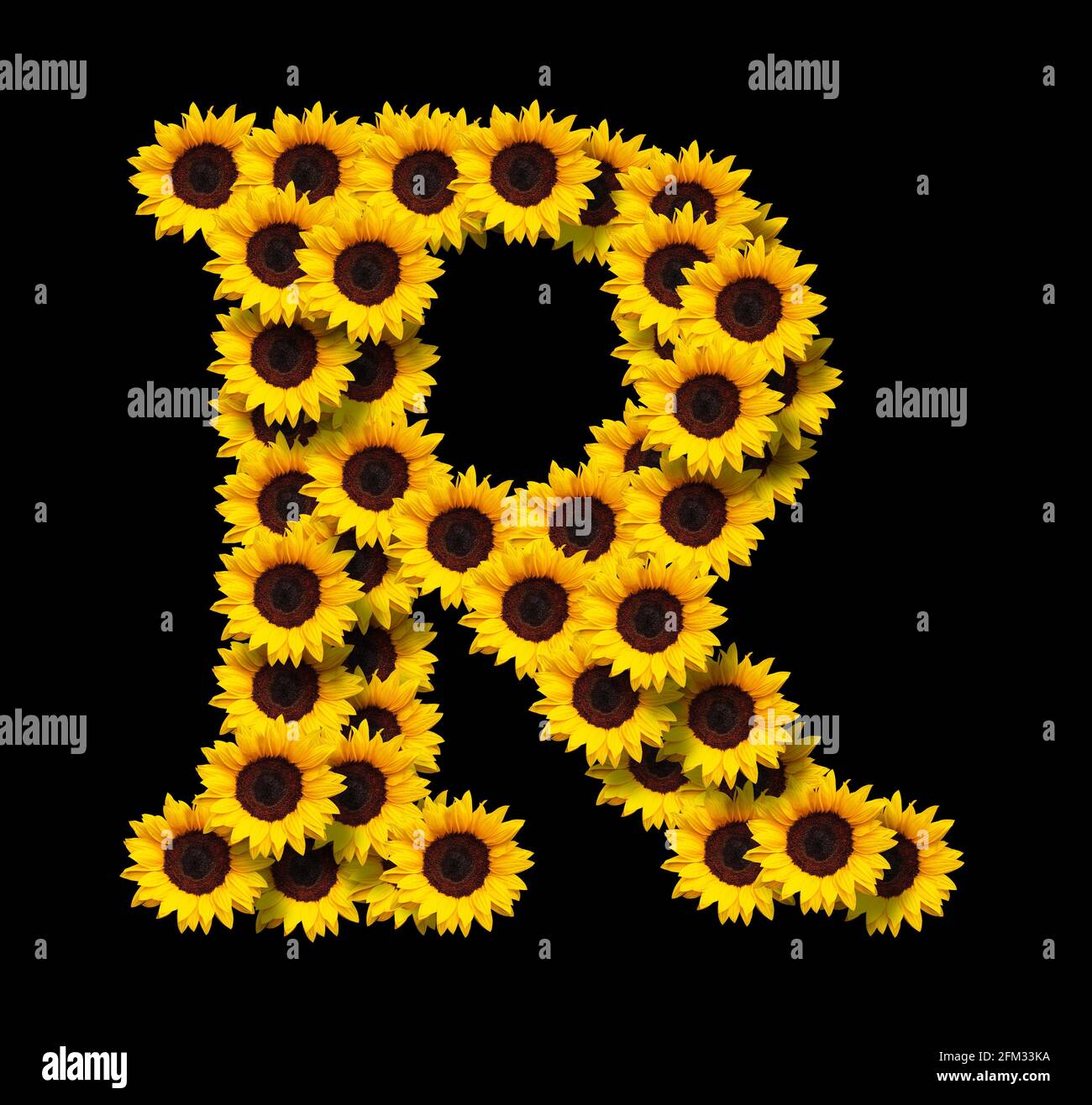 Letra r mayuscula fotografías e imágenes de alta resolución - Alamy