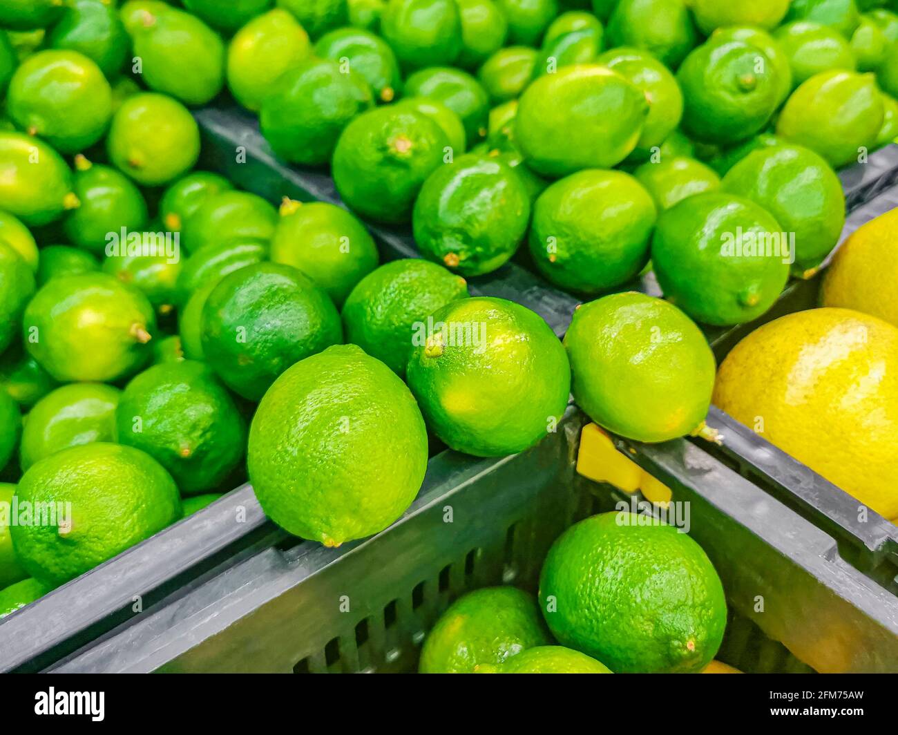 Fruta Lima En Mexico