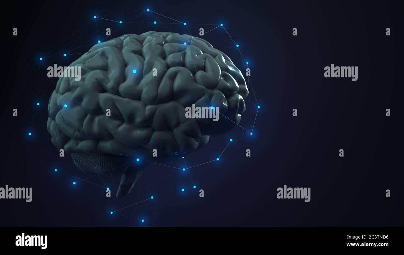 Neural Network Fotos e Imágenes de stock - Alamy