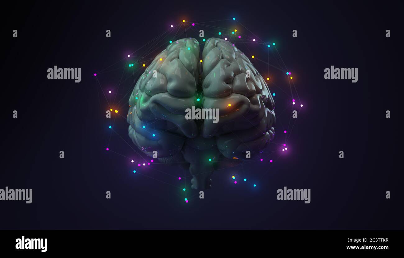 Neural Network Fotos e Imágenes de stock - Alamy