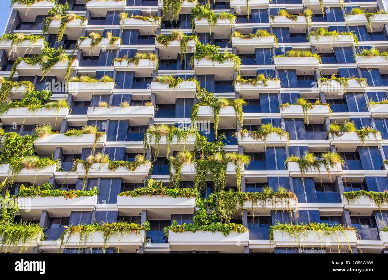 Edificio De Fachada Verde