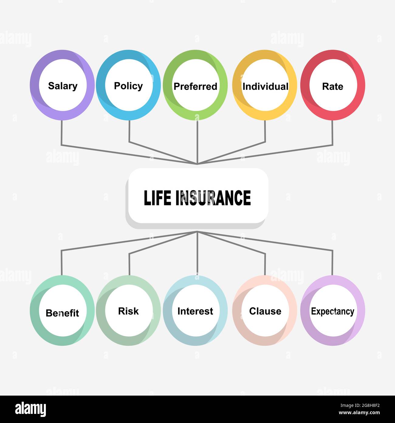 Seguro De Vida Es La Clave