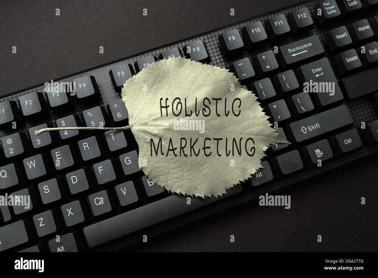 Signo De Texto Que Muestra La Comercializaci n Hol stica Concepto Significado Desarrollado signo-de-texto-que-muestra-la-comercializaci-n-hol-stica-concepto-significado-desarrollado