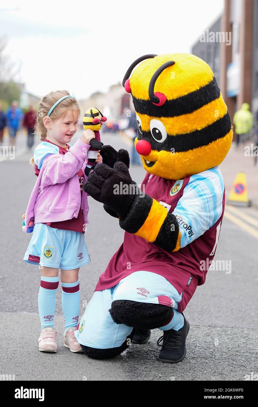 Bee mascot fotografías e imágenes de alta resolución - Alamy