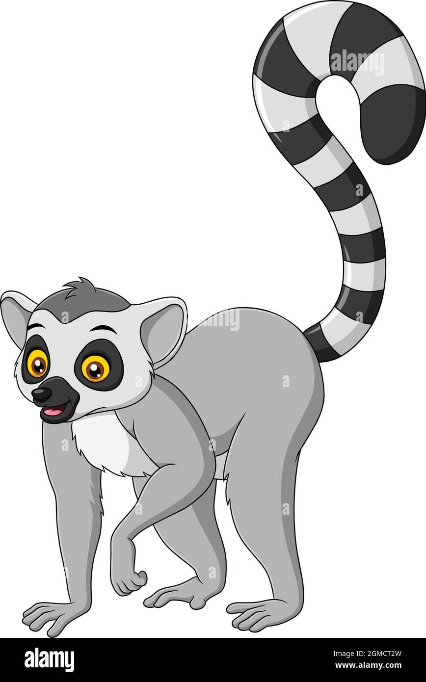 Ilustración de vector de dibujos animados de Lemur lindo Imagen Vector ... Ilustración de vector de dibujos animados de Lemur lindo Imagen Vector ...