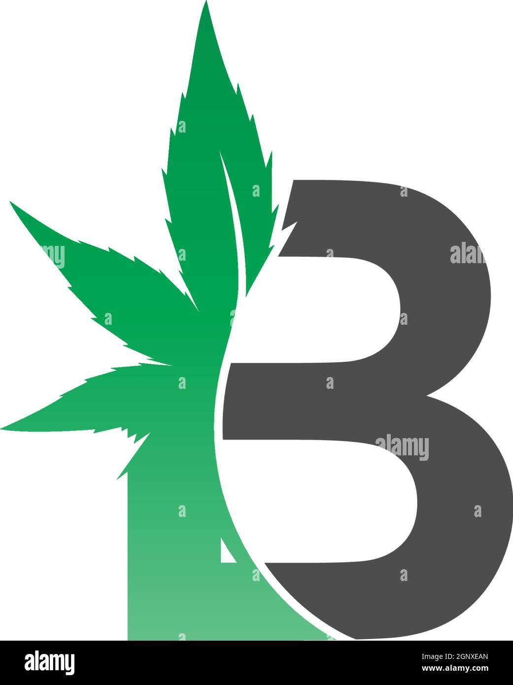 Icono Con El Logotipo De La Letra B Con Vector De Dise o De Hojas De