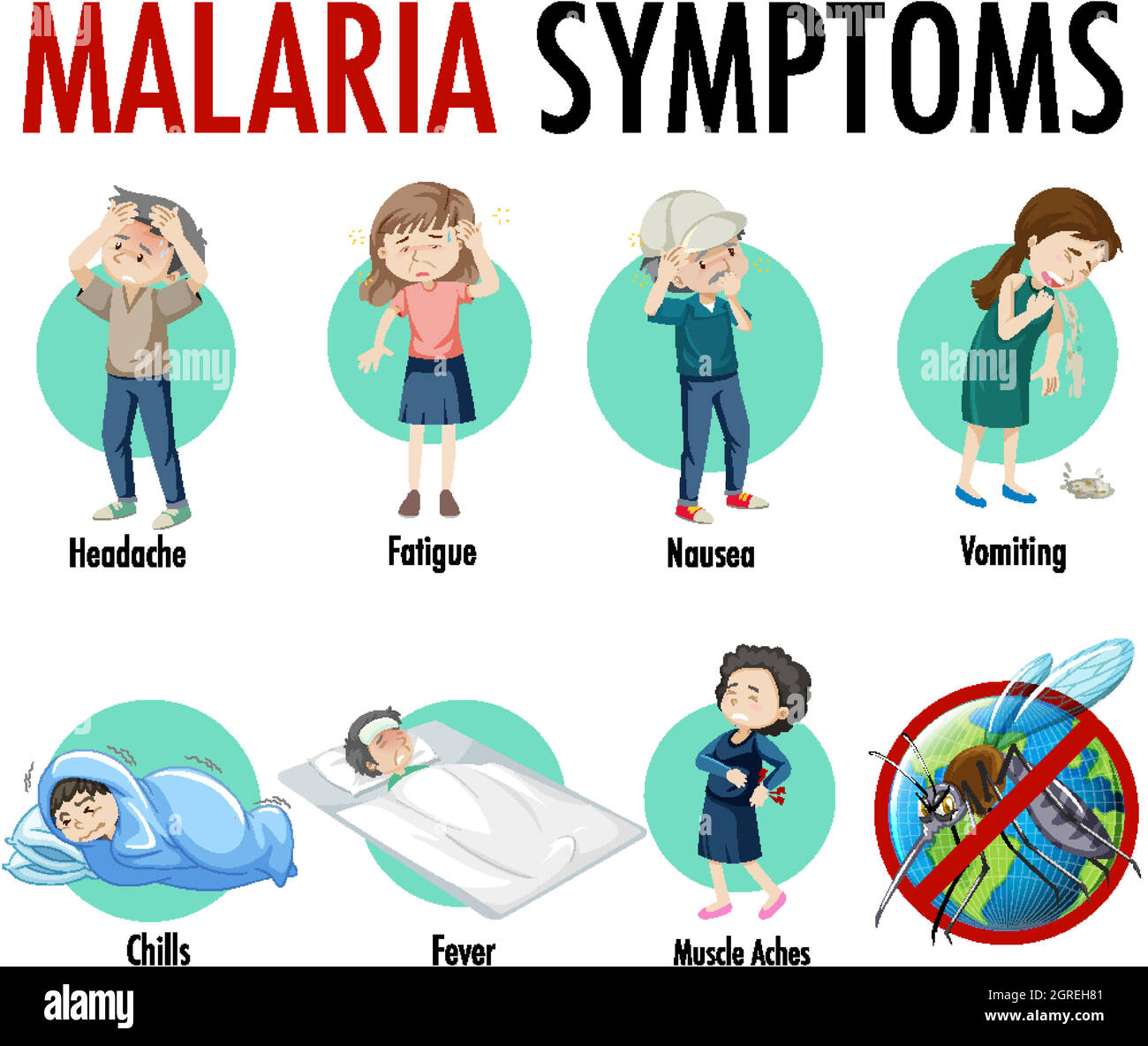 Infografía De Información Sobre Síntomas De Malaria Imagen Vector De