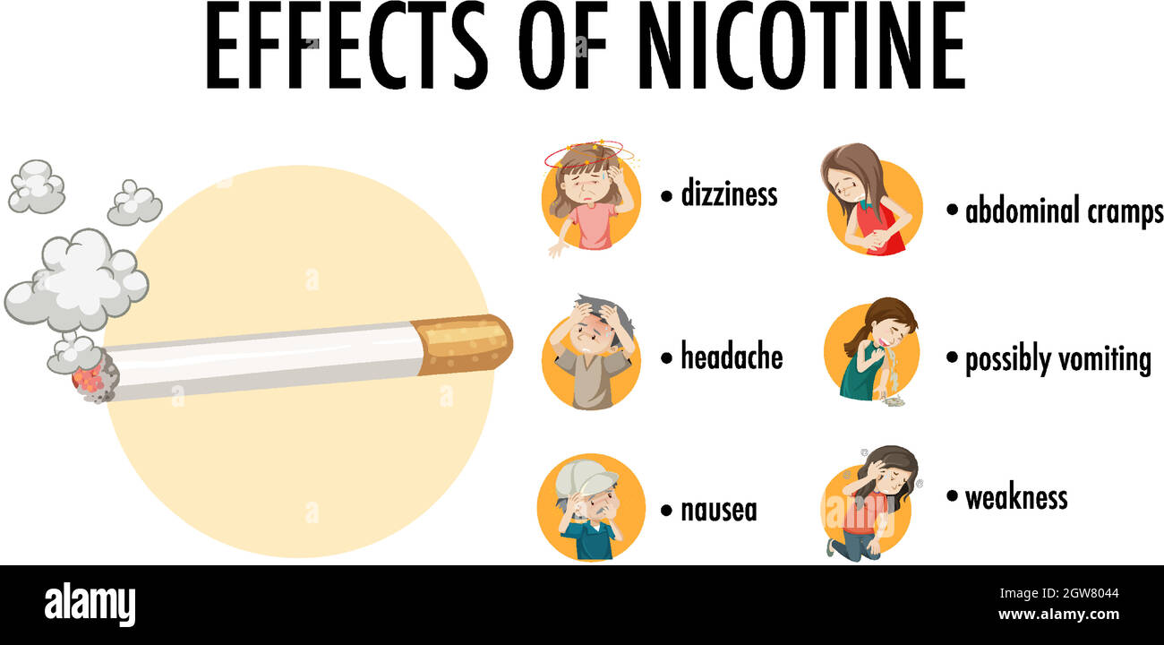 Efectos De La Infografía Informativa Sobre La Nicotina Imagen Vector De