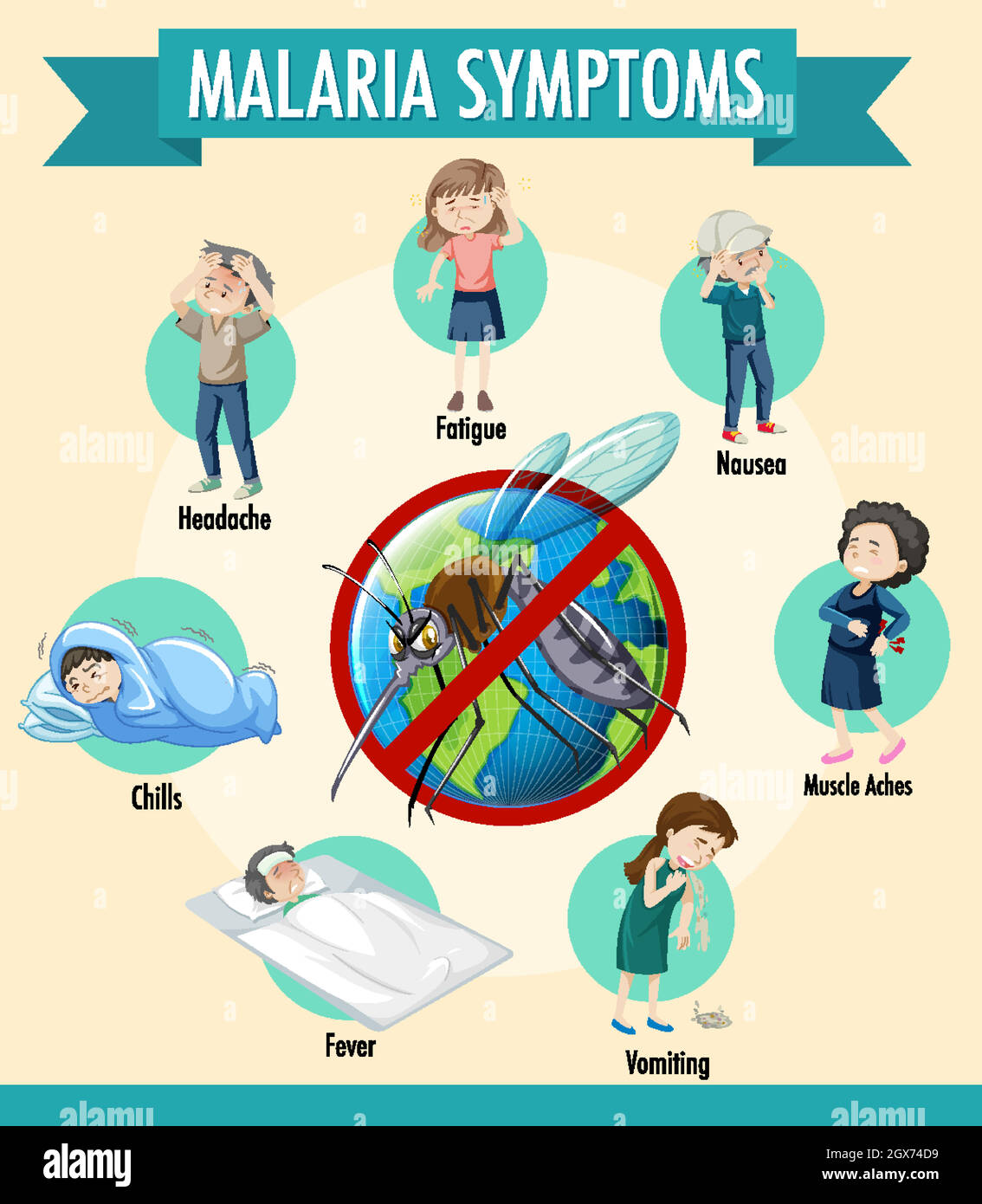 Infografía De Información Sobre Síntomas De Malaria Imagen Vector De